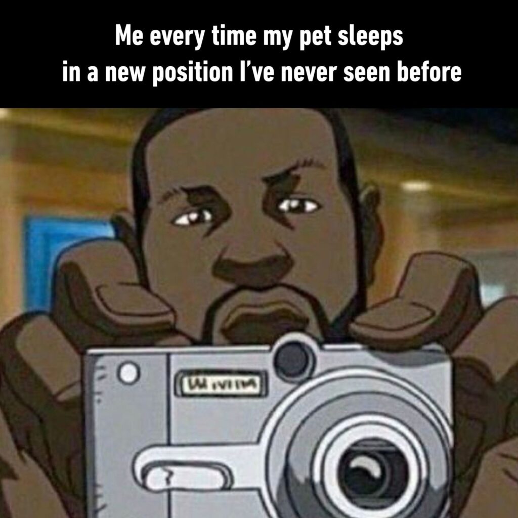28 Memes That Absolutely Won the Internet This Week - Ned Hardy