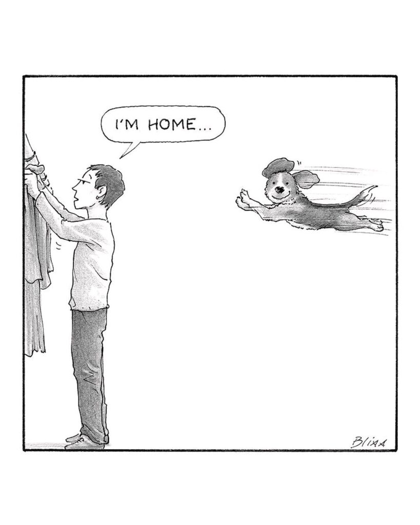 25 Single-Panel Comics That Understand the Assignment - Ned Hardy