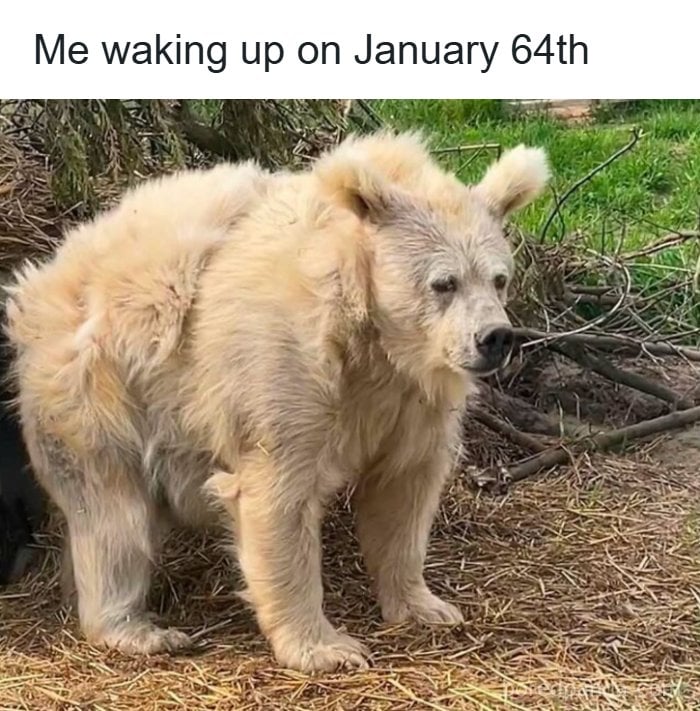 24 Memes To Help You Get Over The Hump - Ned Hardy